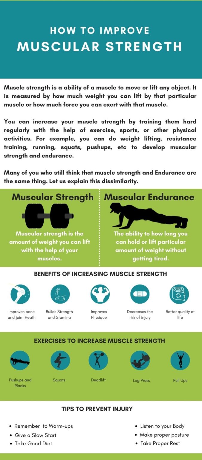 How to Improve Muscular Strength Benefits Exercise and Tips